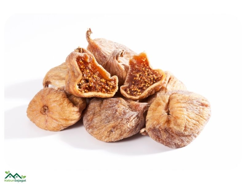 √ 11+ Khasiat Buah Tin: Kelezatan dan Manfaat yang Luar Biasa - Kebun ... √ 11+ Khasiat Buah Tin: Kelezatan dan Manfaat yang Luar Biasa - Kebun ...